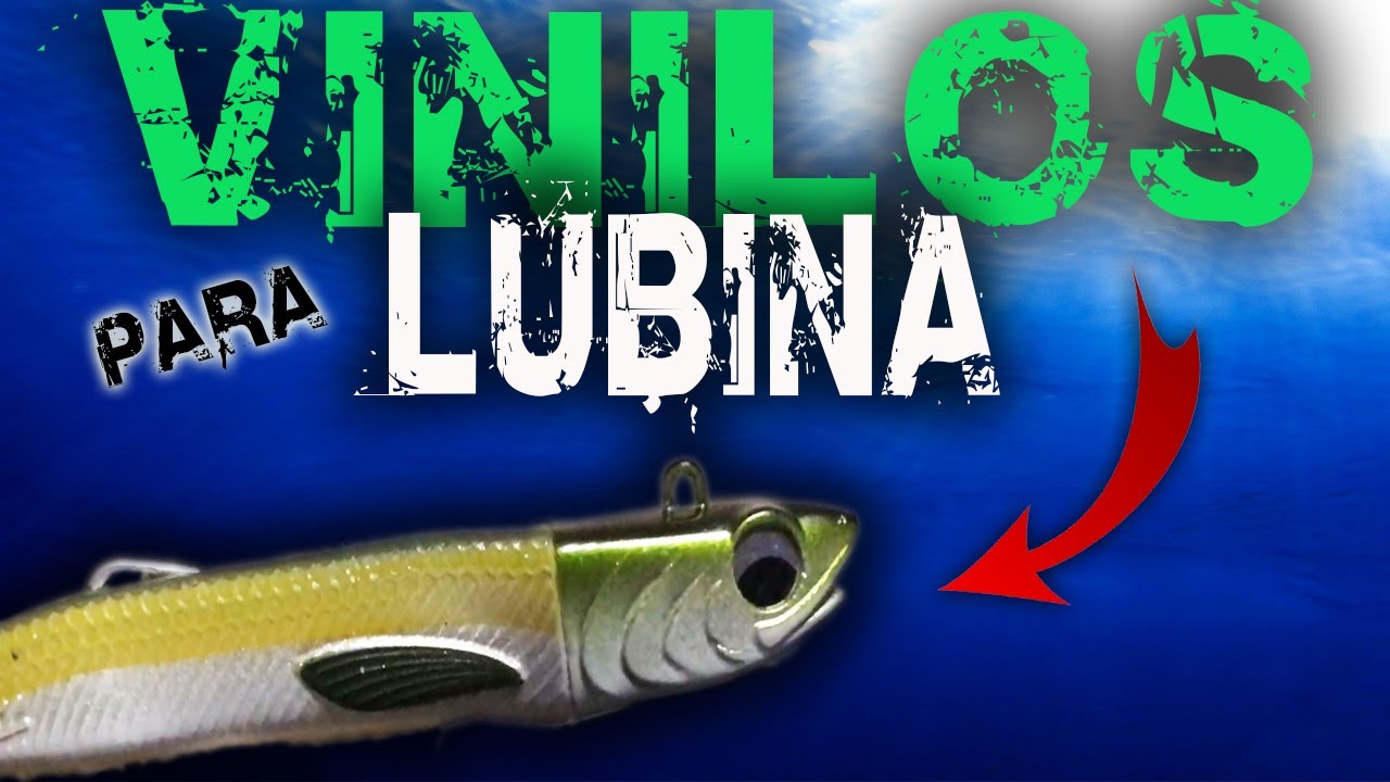 ≫ Los mejores vinilos para lubina: ¡descúbrelos aquí! 2026 - Prueba Final