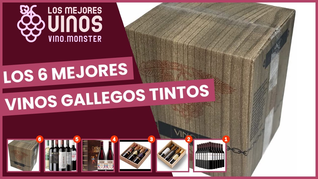 ≫ Los mejores vinos mencía de Galicia 2026 - Prueba Final